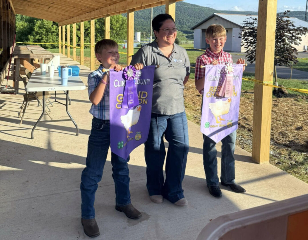 Local 4Hers showcase work in Meat Bird show | News, Sports, Jobs - The ...